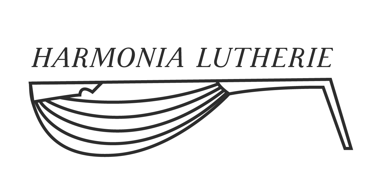 lute guitar rose – Eric shull Portland luthier